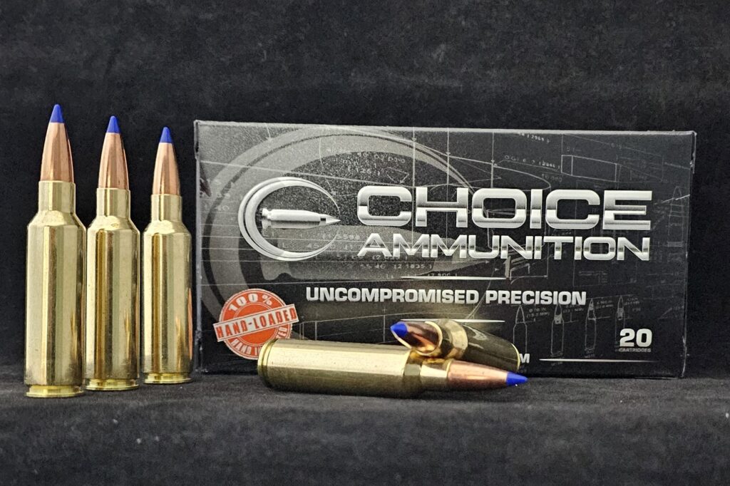 .300 Winchester Short Magnum (WSM) 168 Grain Barnes TTSX (lead free ...